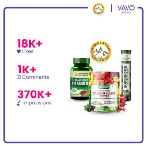 Case Studies - Vavo Digital